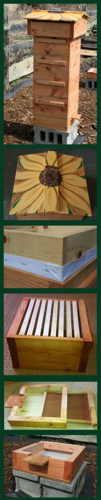 Warré Beehives – Barbolian Fields