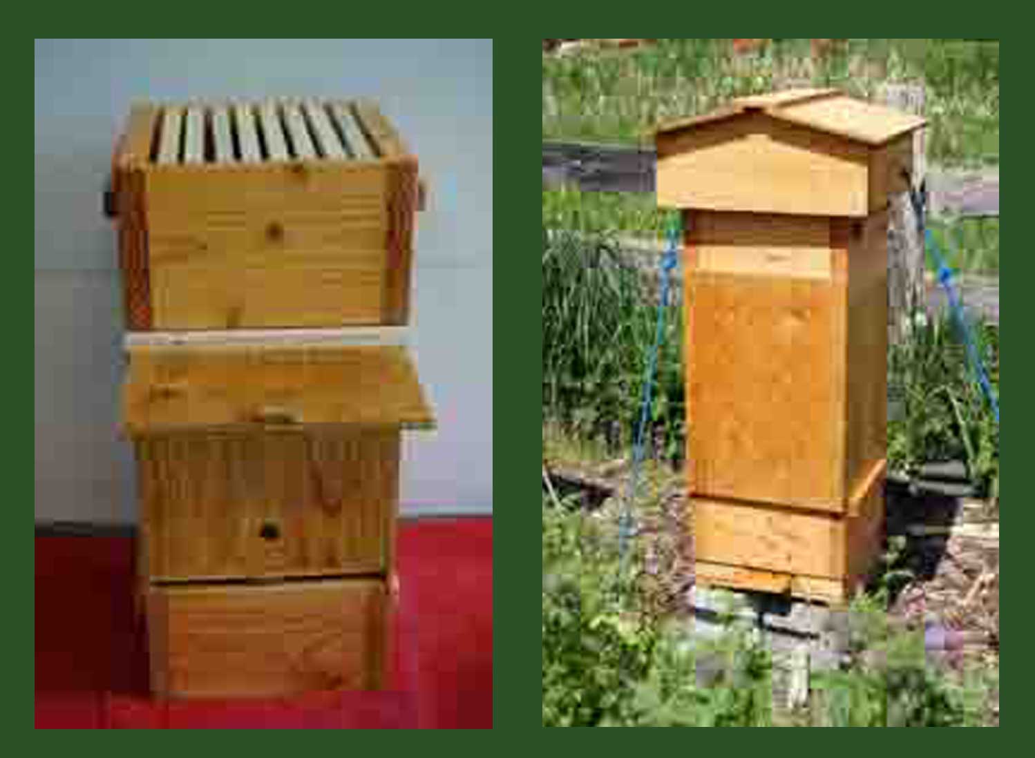 Honeybee Swarm Traps Custom-Built to Fit Your Warre Hive – Barbolian Fields