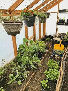 30 Things that Make Me Happy – Barbolian Fields